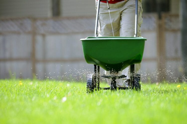 How Often Should You Apply Starter Fertilizer? - Grow Your Yard