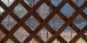 12 Cheap Ways To Block Neighbors View [Enjoy Your Privacy!] - Grow Your ...