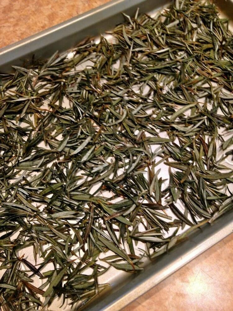 How to Dry Rosemary [3 Methods That WORK!] - Grow Your Yard