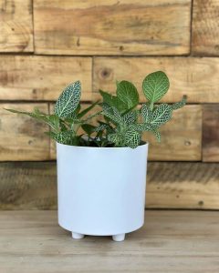 How to Measure Plant Pots [Step-by-Step Guide, Incl. Pics!] - Grow Your ...