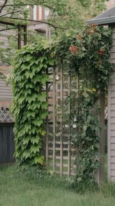 24+ Beautiful Garden Trellis Ideas to Elevate Your Outdoor Space - Grow ...