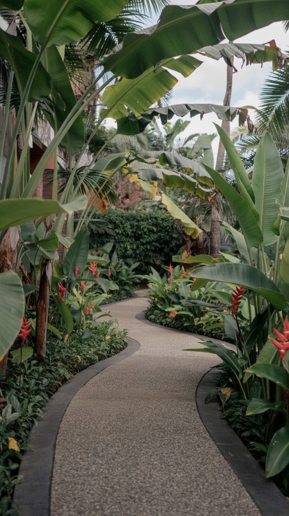 38+ Vibrant Tropical Landscaping Ideas! - Grow Your Yard