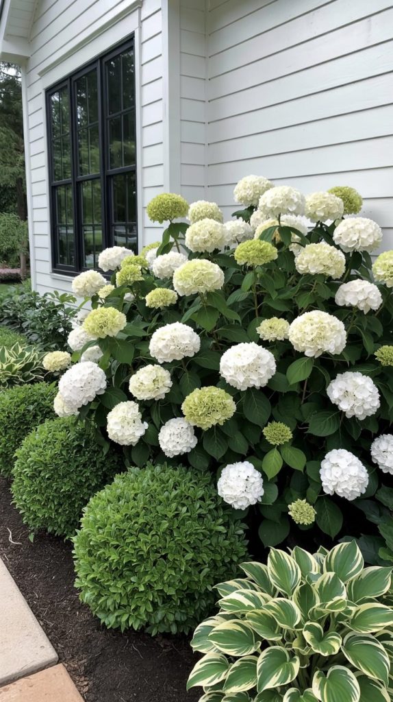 39+ Beautiful Boxwood Landscaping Ideas You Can Copy! - Grow Your Yard