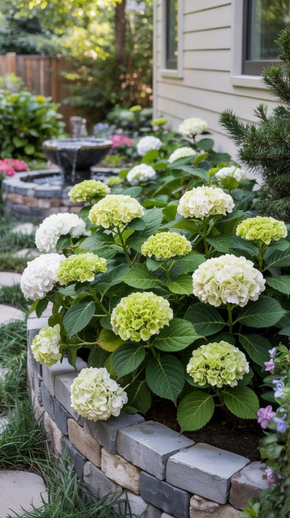 36+ Beautiful Hydrangea Landscaping Ideas! - Grow Your Yard