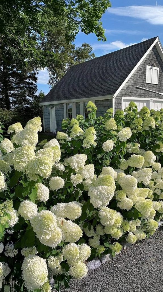 36+ Beautiful Hydrangea Landscaping Ideas! - Grow Your Yard