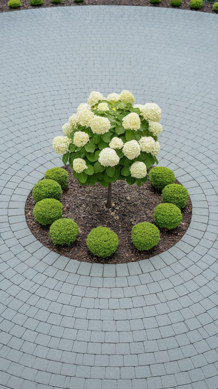 36+ Beautiful Hydrangea Landscaping Ideas! - Grow Your Yard