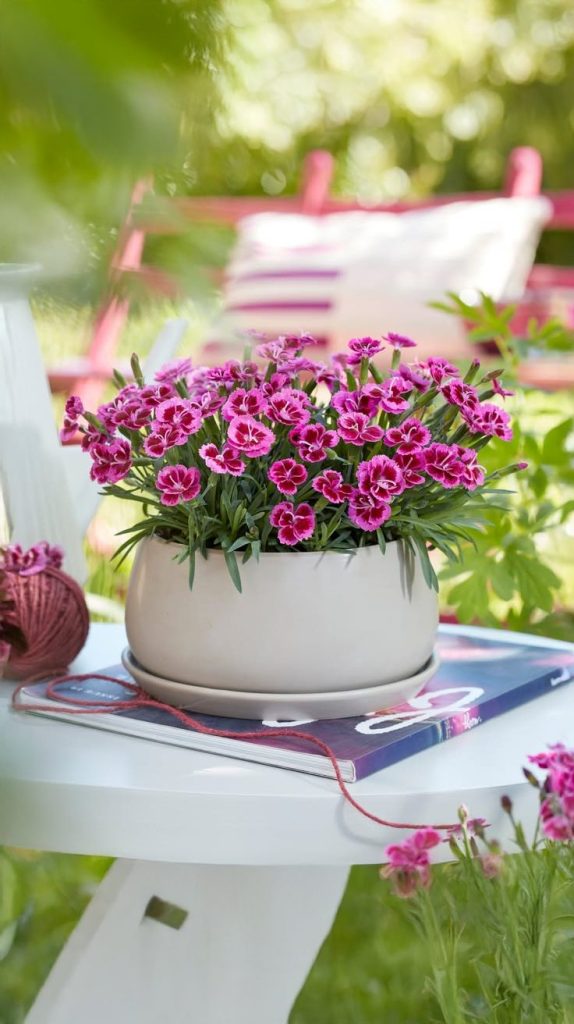 33+ Gorgeous Flower Pot Ideas You Can Copy! - Grow Your Yard