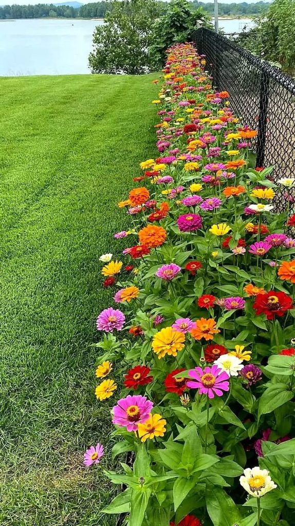 45+ Genius Garden Edging Ideas You Can Easily Copy! - Grow Your Yard