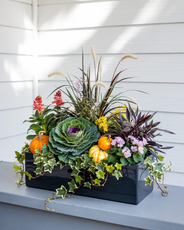 30+ Cute Fall Plant Pot Ideas You Can't Miss! - Grow Your Yard