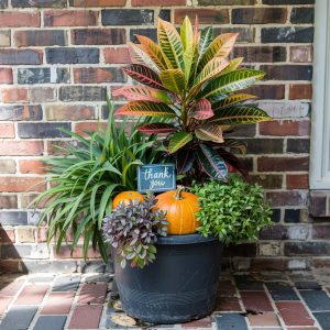 30+ Cute Fall Plant Pot Ideas You Can't Miss! - Grow Your Yard