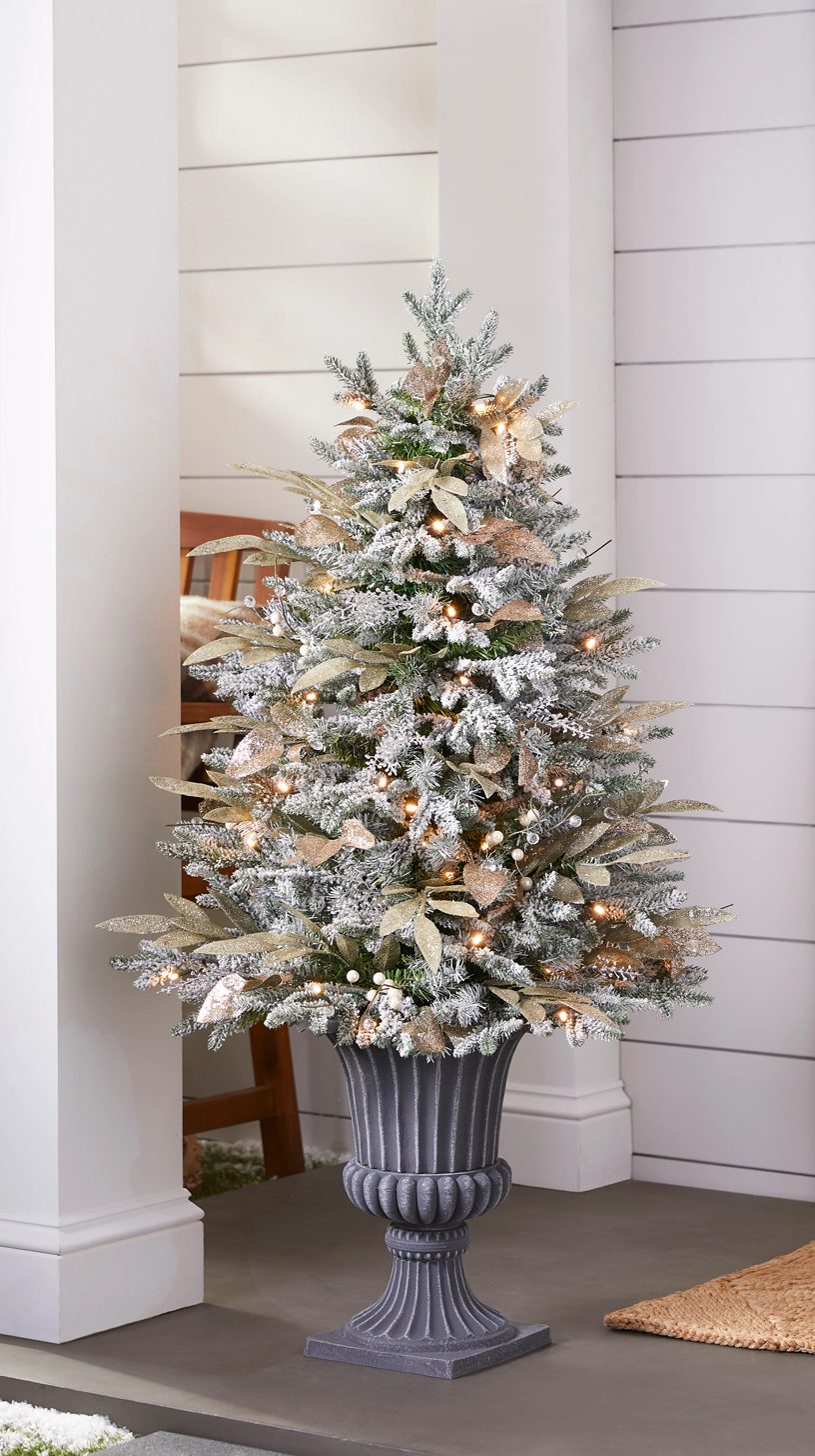 25+ Champagne Christmas Tree Ideas - Grow Your Yard