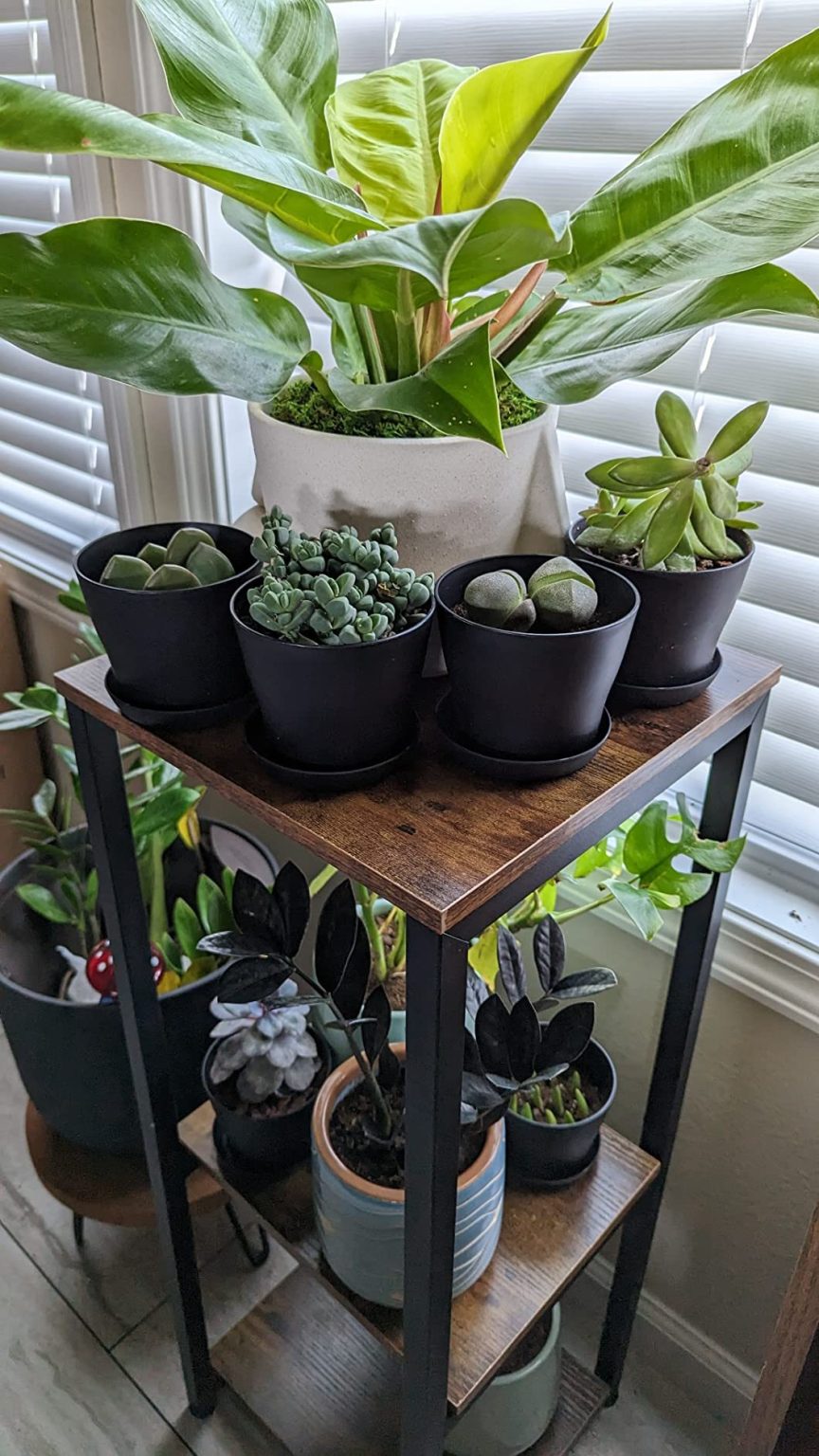 16+ Boho Modern Corner Plant Stands - Grow Your Yard