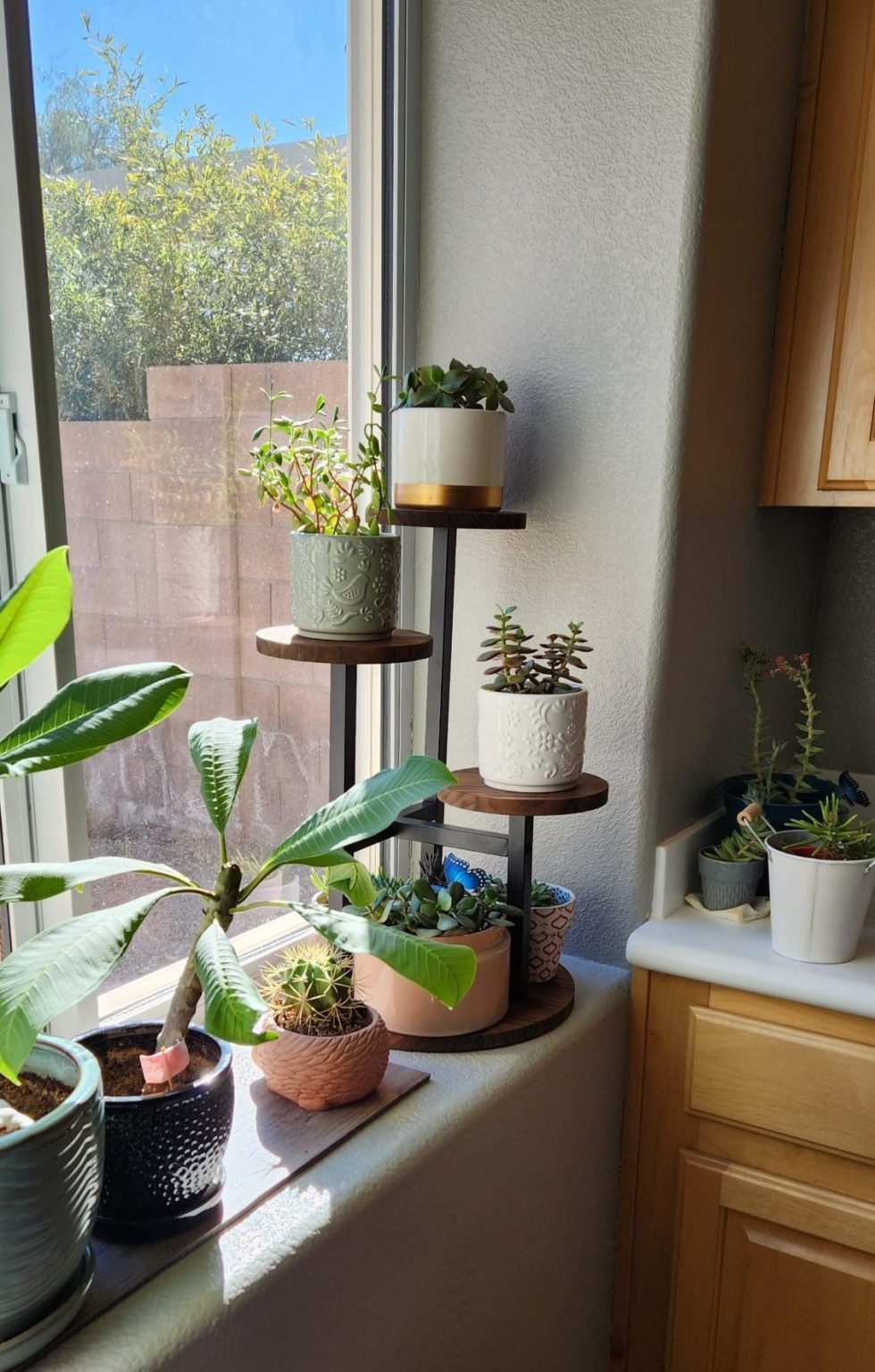 16+ Boho Modern Corner Plant Stands - Grow Your Yard