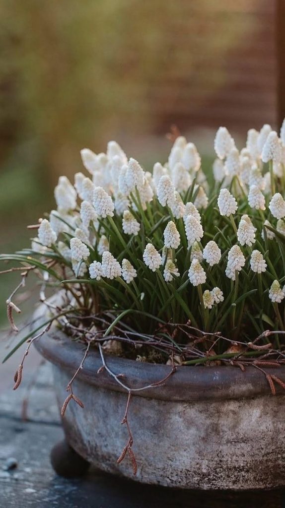 20+ Rustic Planter Ideas To Brighten Up Your Yard! - Grow Your Yard
