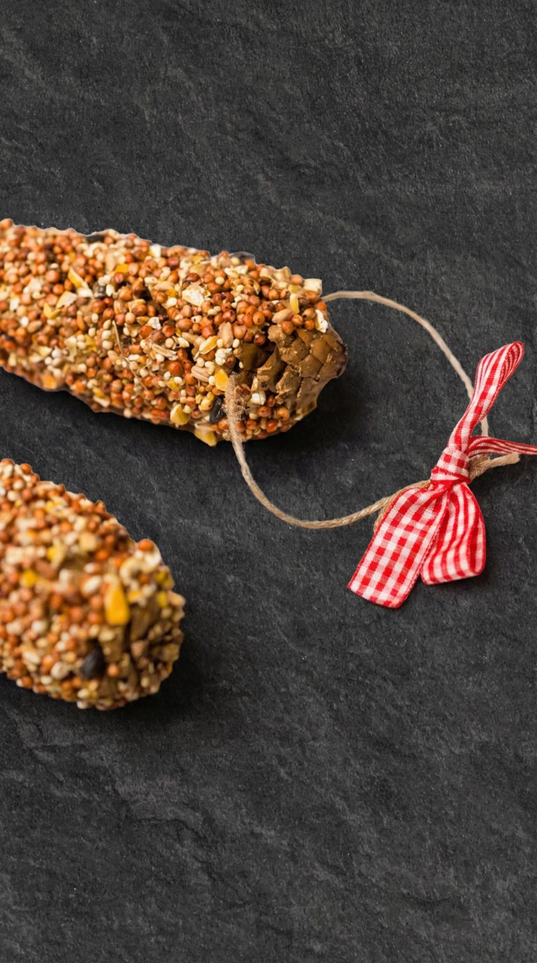 DIY Pine Cone Bird Feeders: A Simple Winter Project for Garden Wildlife ...
