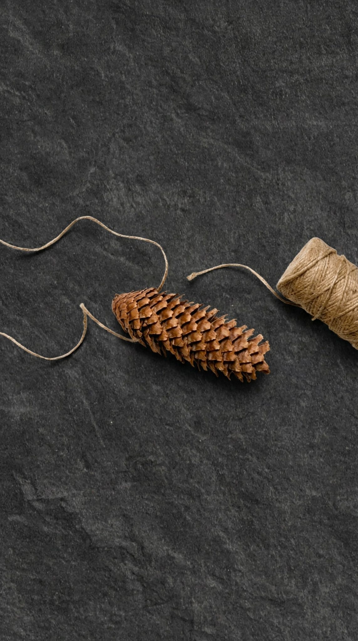 DIY Pine Cone Bird Feeders: A Simple Winter Project for Garden Wildlife ...