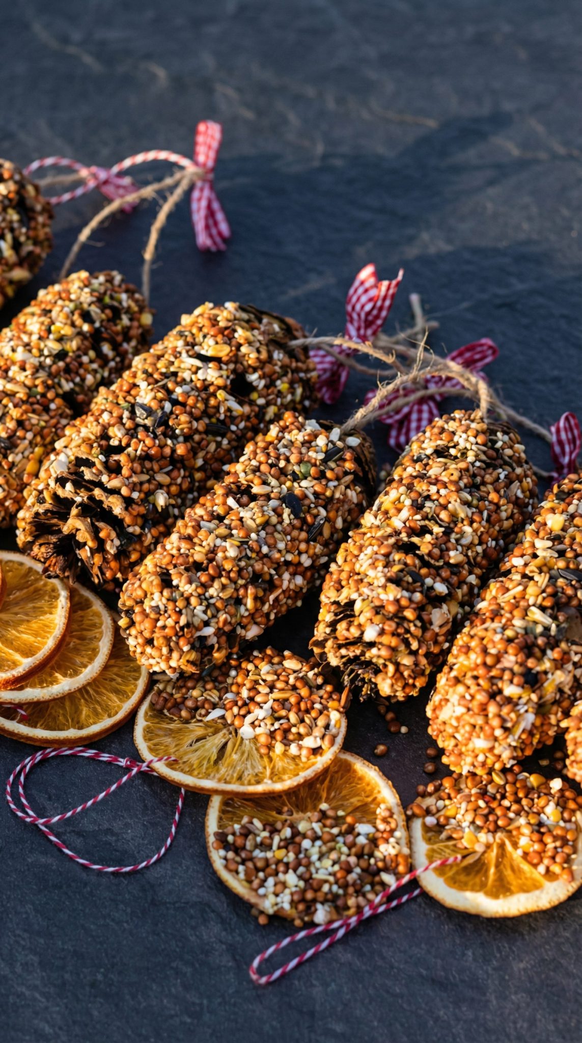 DIY Pine Cone Bird Feeders: A Simple Winter Project for Garden Wildlife ...