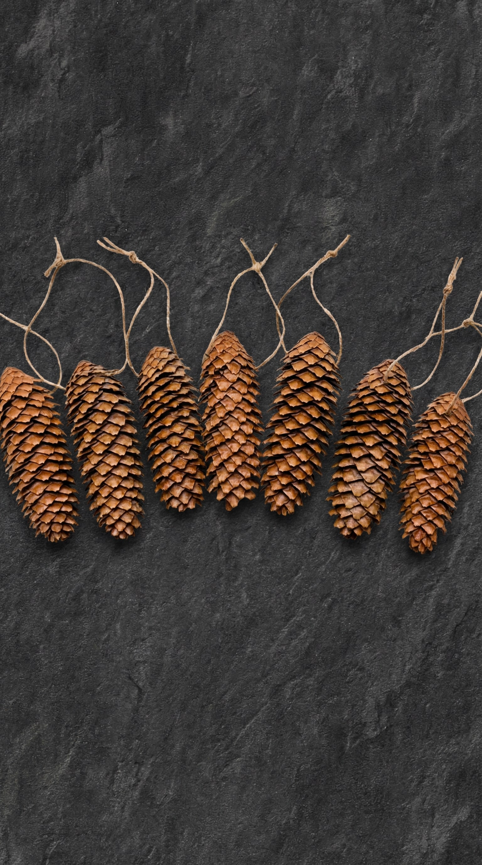 DIY Pine Cone Bird Feeders: A Simple Winter Project for Garden Wildlife ...