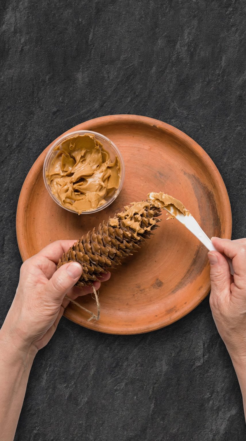 DIY Pine Cone Bird Feeders: A Simple Winter Project for Garden Wildlife ...