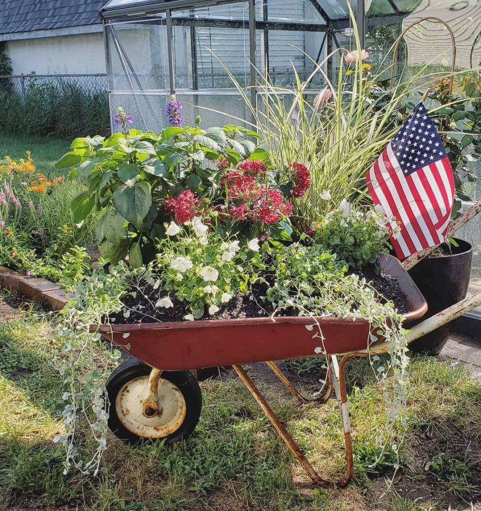 20+ Genius Wheelbarrow Planter Ideas for Flowers, Herbs and More ...